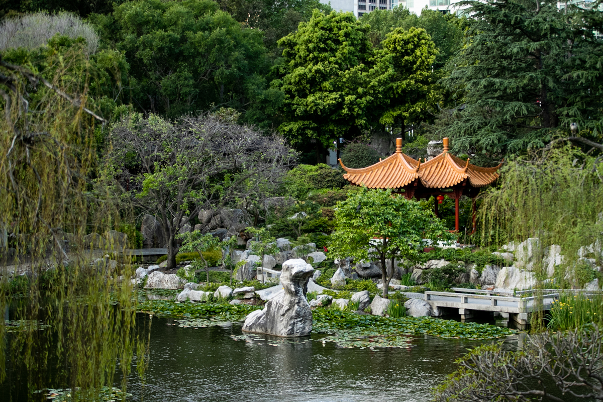 Lotus Dining Chinese Etiquette Dinner - The Luxury Network Australia