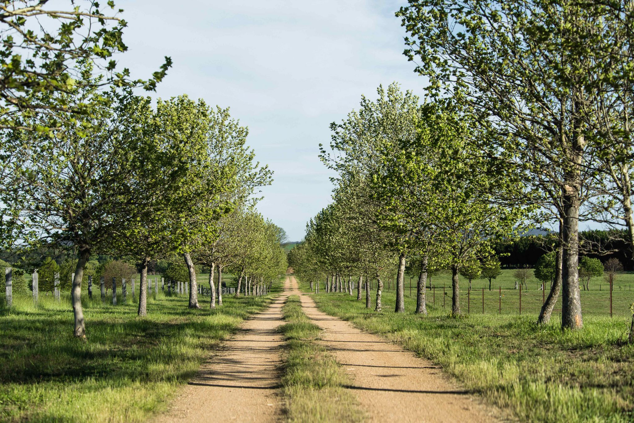 Mona Farm Joins The Luxury Network Australia - The Luxury Network Australia